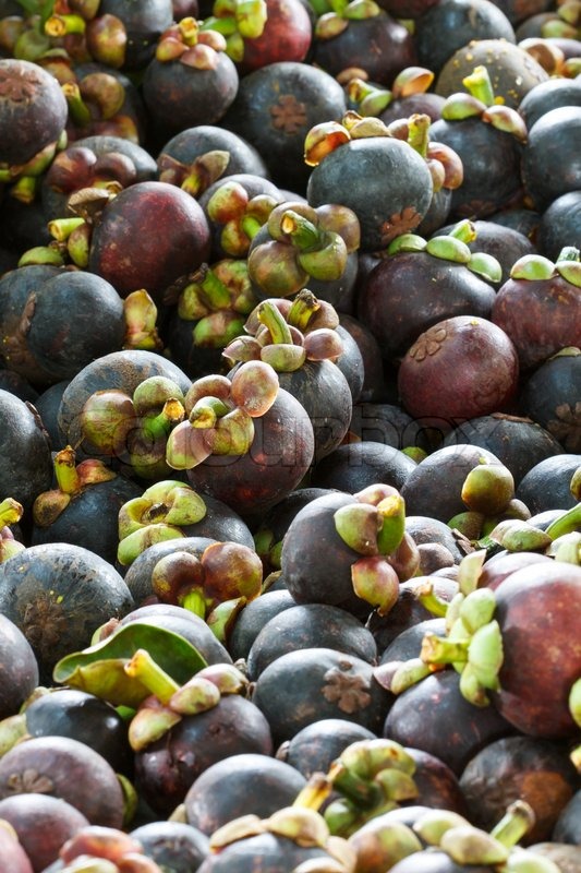 Mangosteen tropical fruit on sales in ... | Stock image | Colourbox
