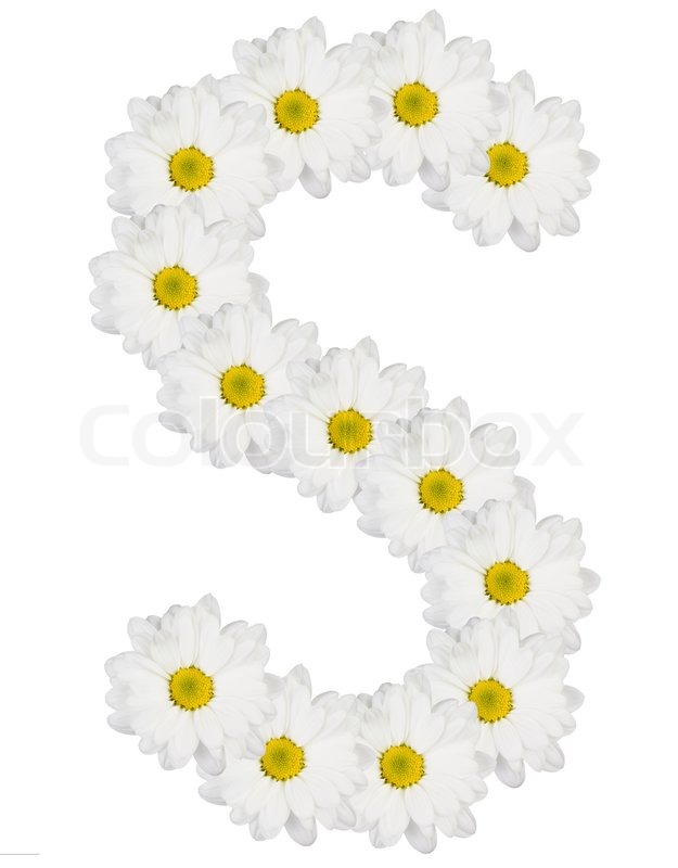 Buchstabe S | Stock Bild | Colourbox