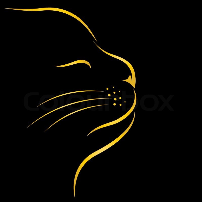 Vector Bild einer Katze | Stock-Vektor | Colourbox