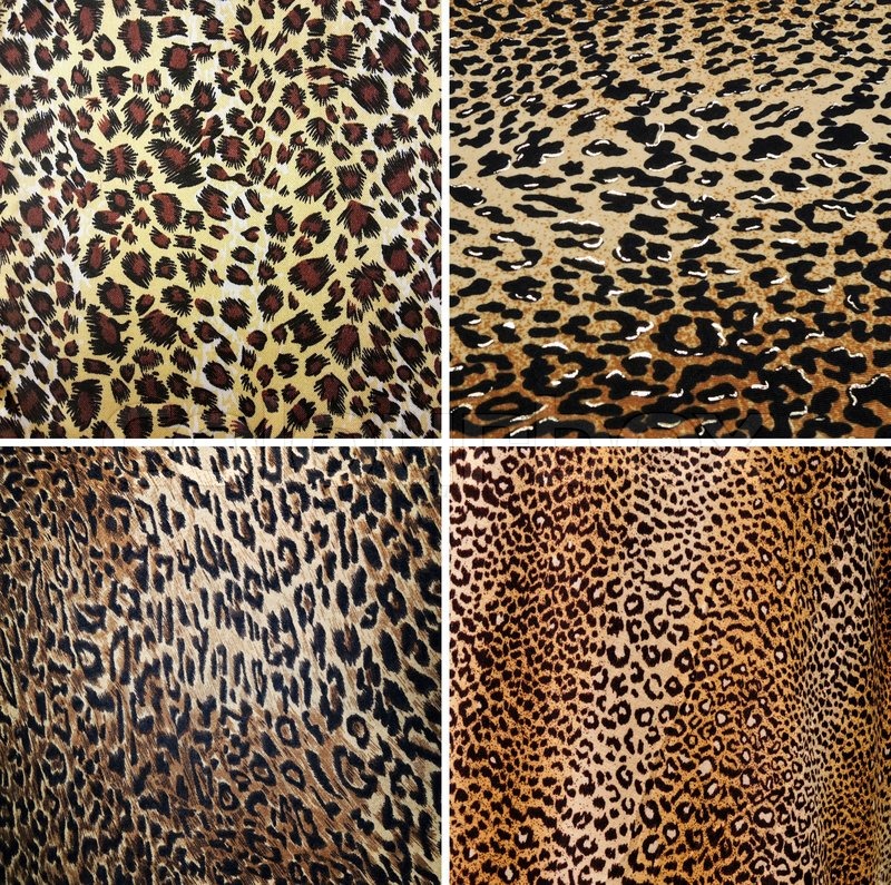 Wild Animal pattern collage | Stock image | Colourbox