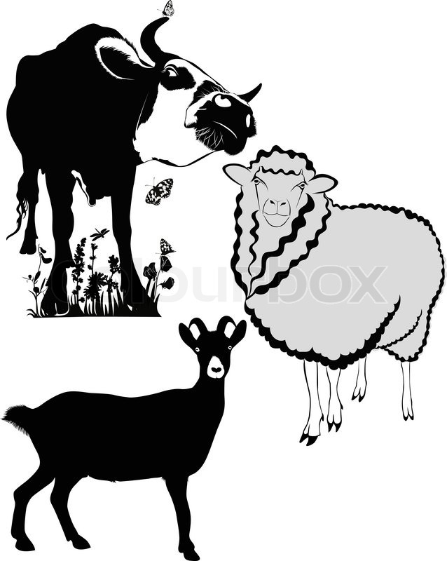 Animals cow sheep goat | Stock vector | Colourbox