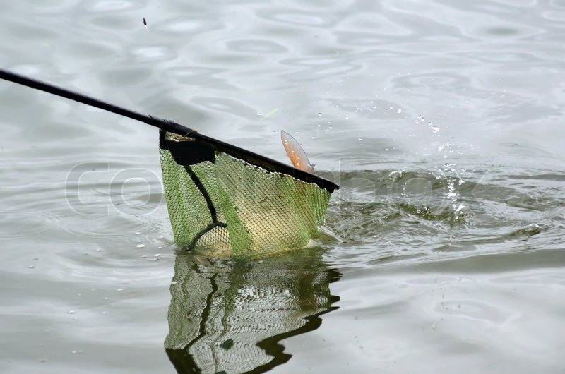 Close up of a fishing net with ... | Stock image | Colourbox