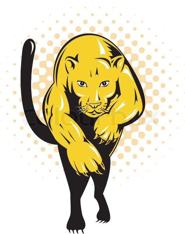 Illustration of a puma viewed from ... | Stock vector | Colourbox