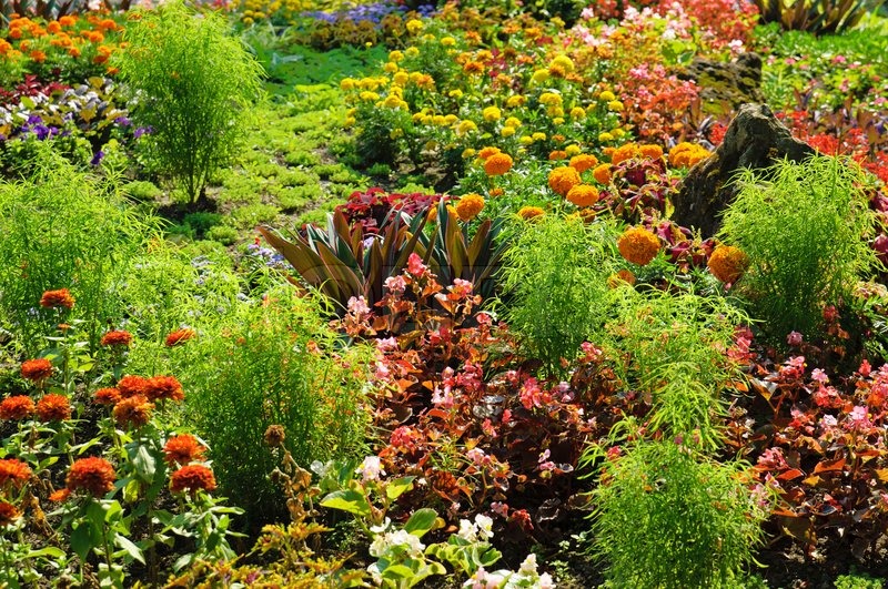 Blumenbeet im Park | Stock Bild | Colourbox