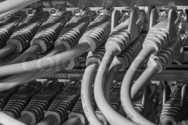 Network cables connected to switch - ... | Stock image | Colourbox