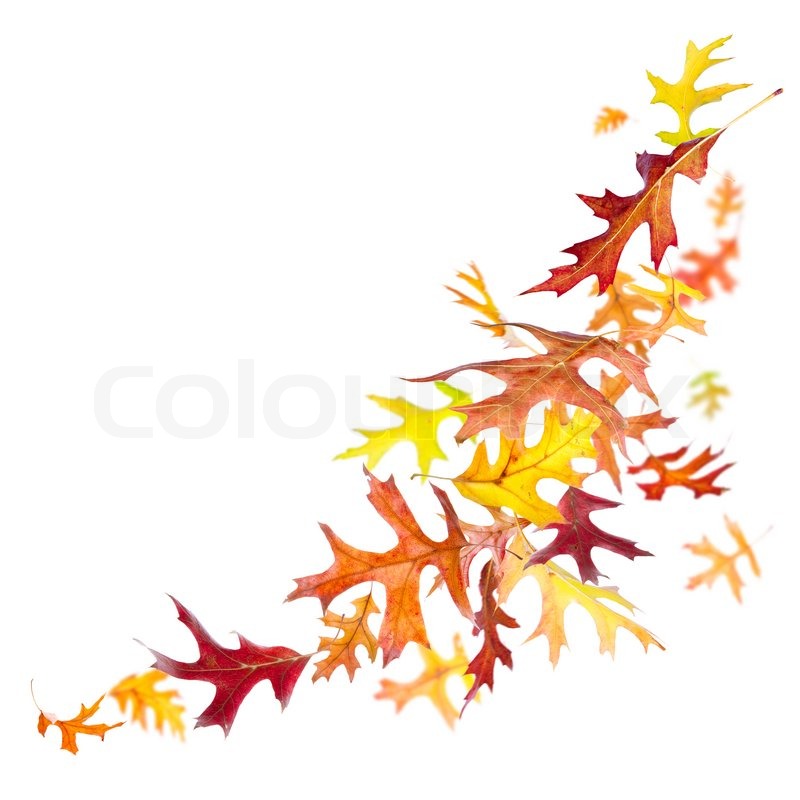 Falling Autumn Leaves Clip Art