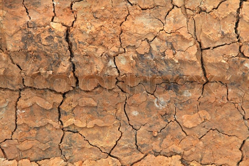 Dry terrain ground using as background | Stock image | Colourbox
