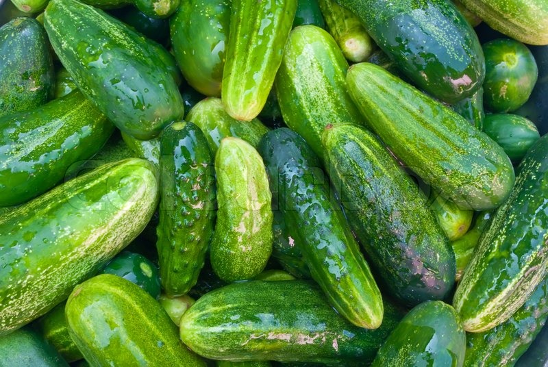 Gurken | Stock Bild | Colourbox