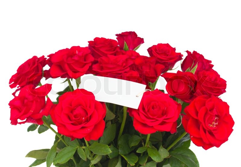 Strauß rote Rosen mit tag | Stock Bild | Colourbox