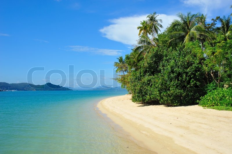 Tropical Beach | Stock image | Colourbox
