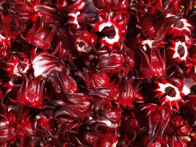 Fresh roselle | Stock image | Colourbox