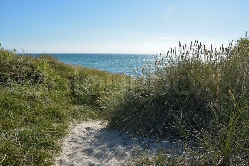 Strand, klitter, sand og hav | Stock foto | Colourbox