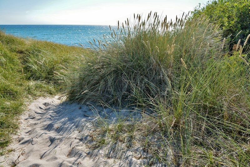 Strand, klitter, sand og hav | Stock foto | Colourbox