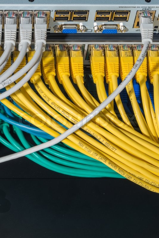 Network cables connected to switch - ... | Stock image | Colourbox