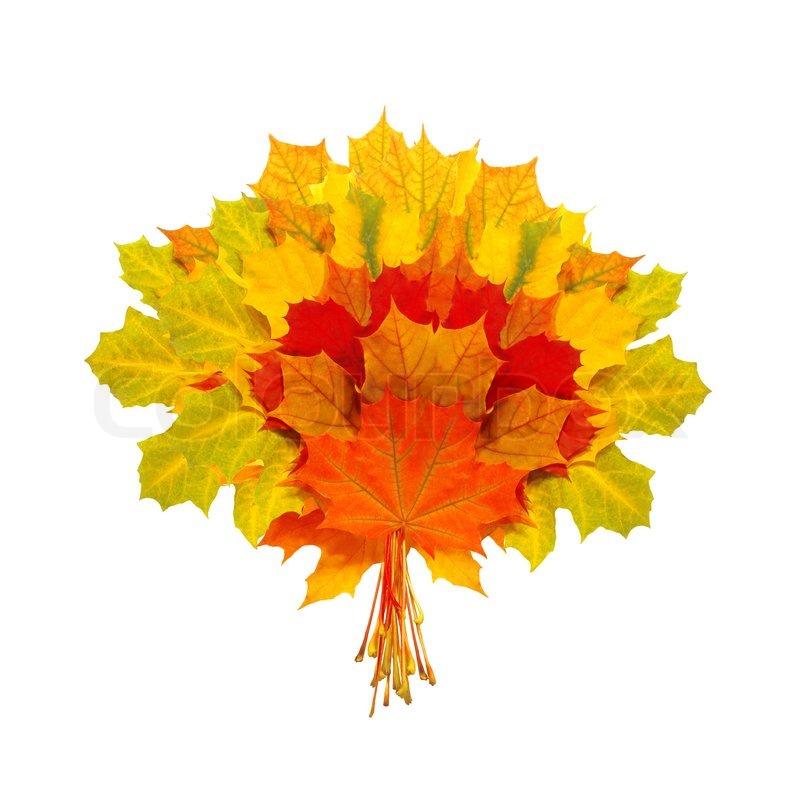 Schöne bunte Blätter im Herbst ... | Stock Bild | Colourbox