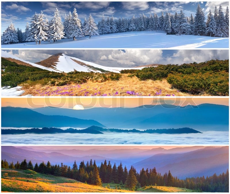 Set of the 4 seasons landscape for ... | Stock image | Colourbox