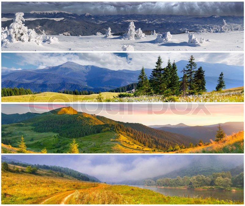 Set of the 4 seasons landscape for ... | Stock image | Colourbox