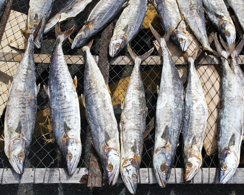 A dried under the sun salty fish ... | Stock image | Colourbox