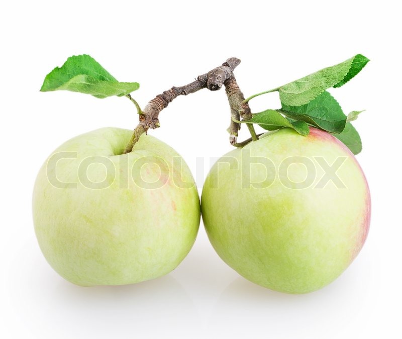 Zwei Äpfel | Stock Bild | Colourbox