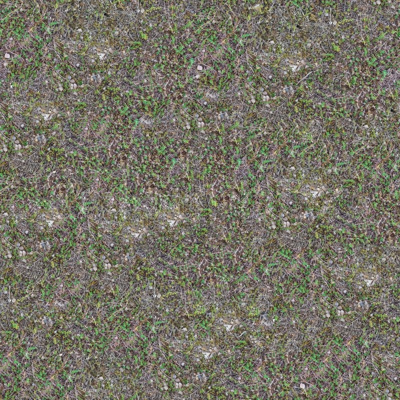 Seamless Texture of Area of Coastal ... | Stock image | Colourbox
