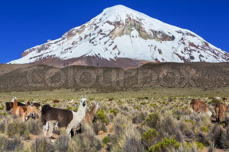 Mountains in Bolivia | Stock image | Colourbox