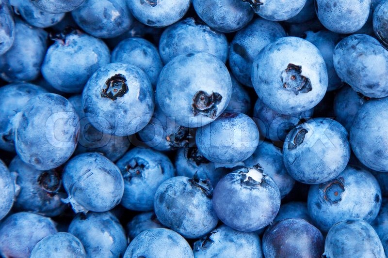 Blueberries macro photo | Stock image | Colourbox