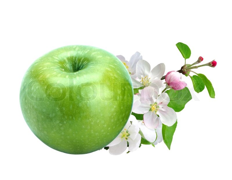 Grüne frische Apfel mit Blättern und ... | Stock Bild | Colourbox
