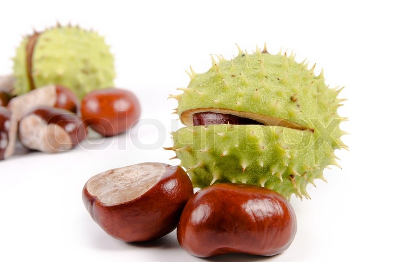 Friske kastanjer | Stock foto | Colourbox