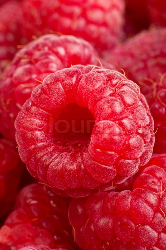 Ripe rasberry background Close up macro ... | Stock Photo | Colourbox