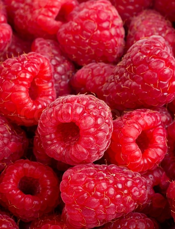 Ripe rasberry fruit horizontal close up ... | Stock image | Colourbox