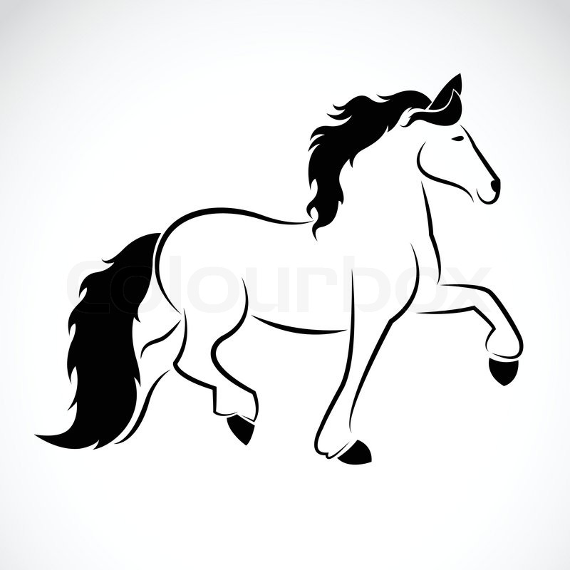 Vektor-Bild von einem Pferd | Stock-Vektor | Colourbox