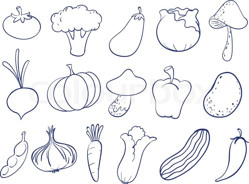 Früchte | Stock-Vektor | Colourbox