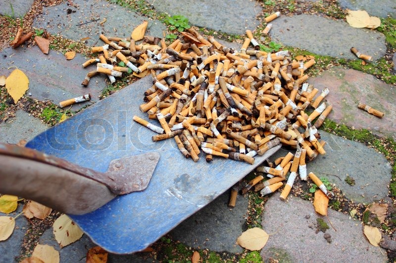 Cleaning a lot of cigarette garbage ... | Stock image | Colourbox