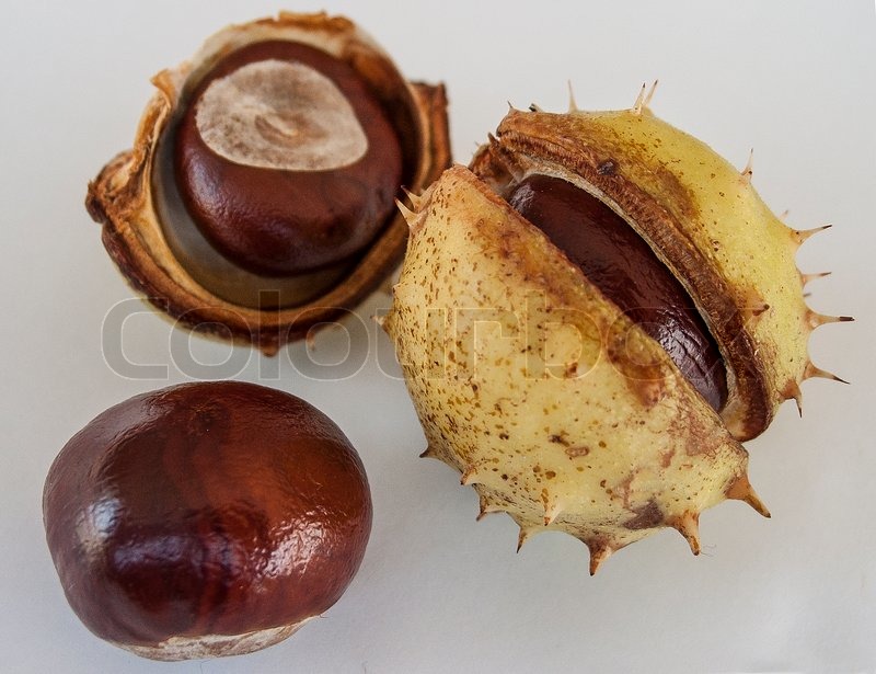 Chestnuts | Stock image | Colourbox
