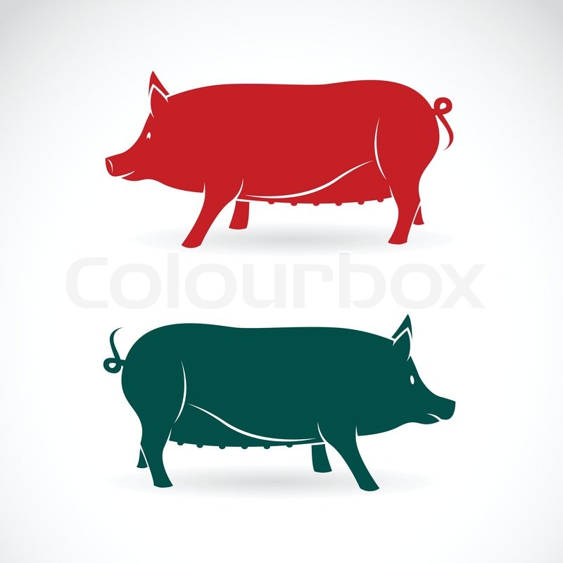 Vector image of an pig on white ... | Stock vector | Colourbox