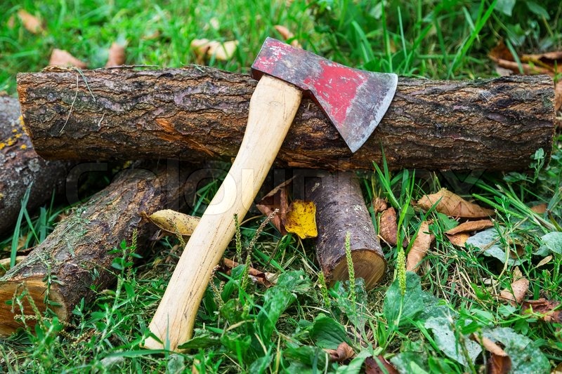 Ax log in the green grass | Stock image | Colourbox