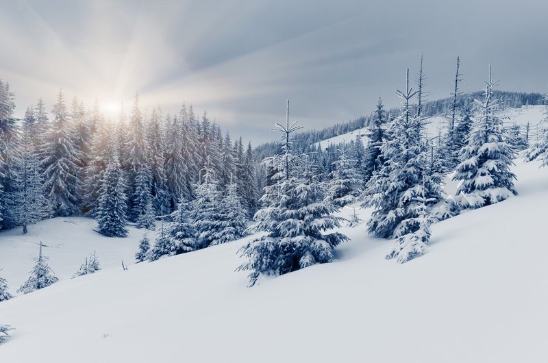 Vinter | Stock foto | Colourbox