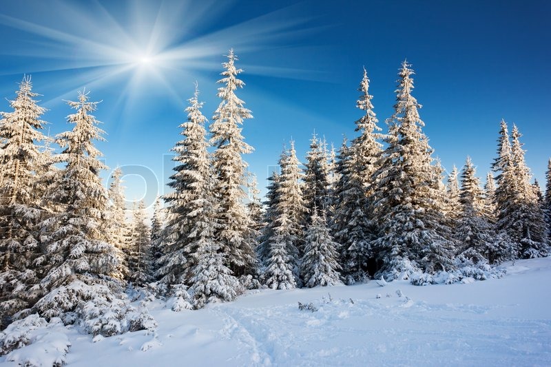 Vinter | Stock foto | Colourbox