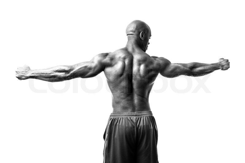 Lean Muscle Back