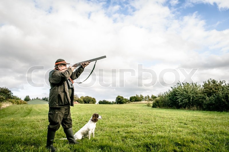 Hunter with dog aiming with his rifle | Stock image | Colourbox