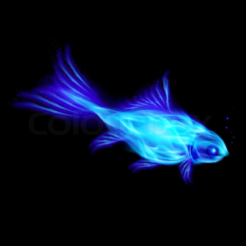 Illustration of blue fire fish on ... | Stock vector | Colourbox