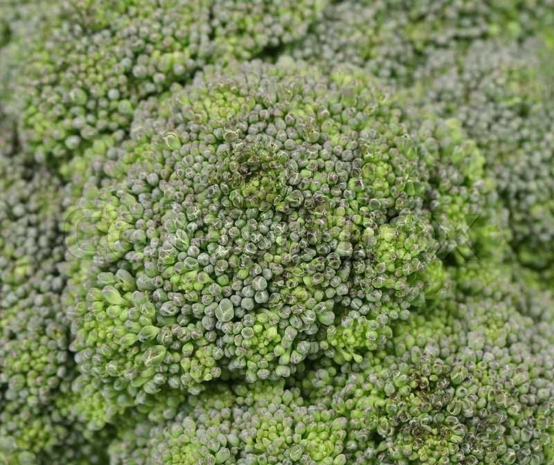 Close up of fresh broccoli | Stock image | Colourbox