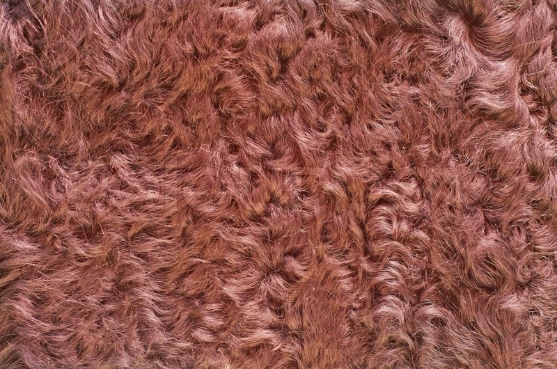 Fur texture | Stock image | Colourbox
