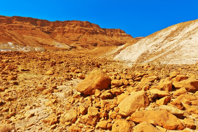Stony Desert | Stock Photo | Colourbox