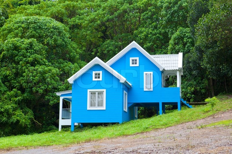 Beautiful blue house and big tree in ... | Stock image | Colourbox