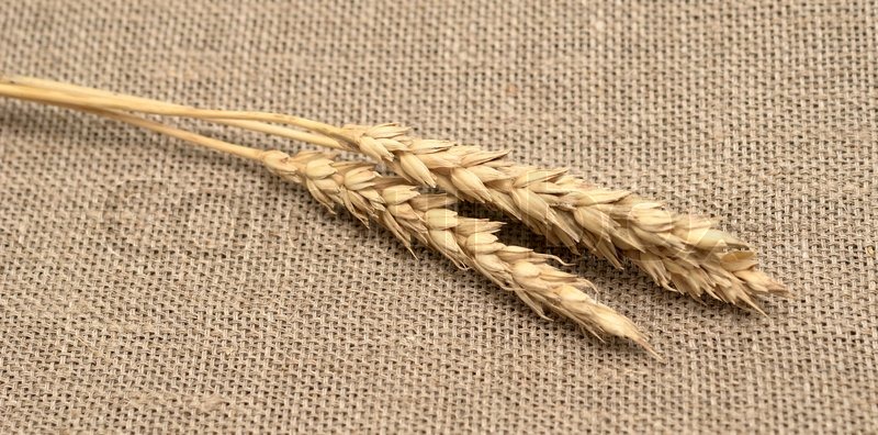 Weizen | Stock Bild | Colourbox