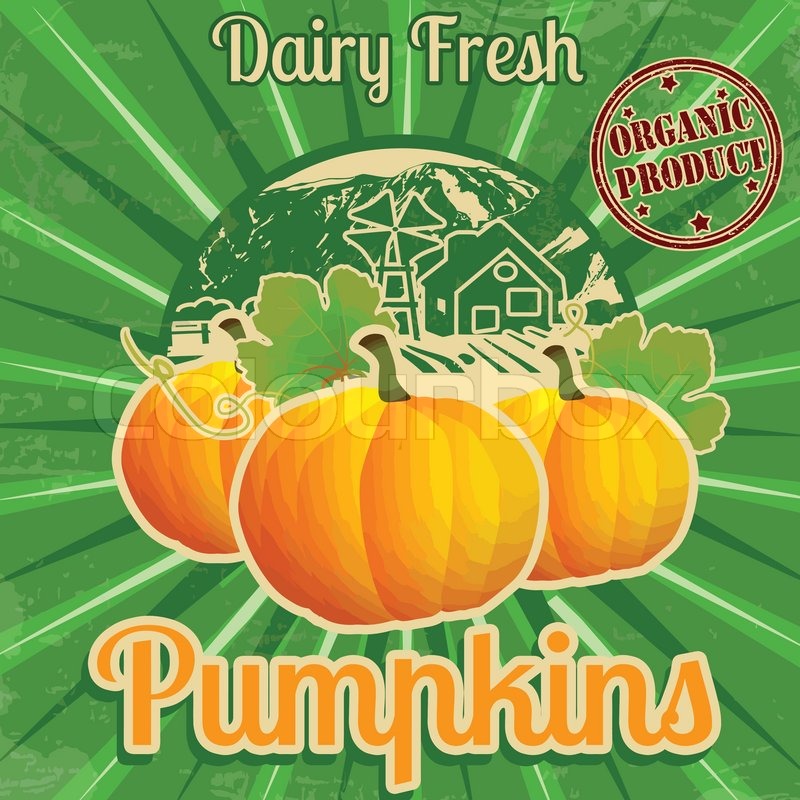 Vintage farm fresh pumpkins poster, ... | Stock vector | Colourbox