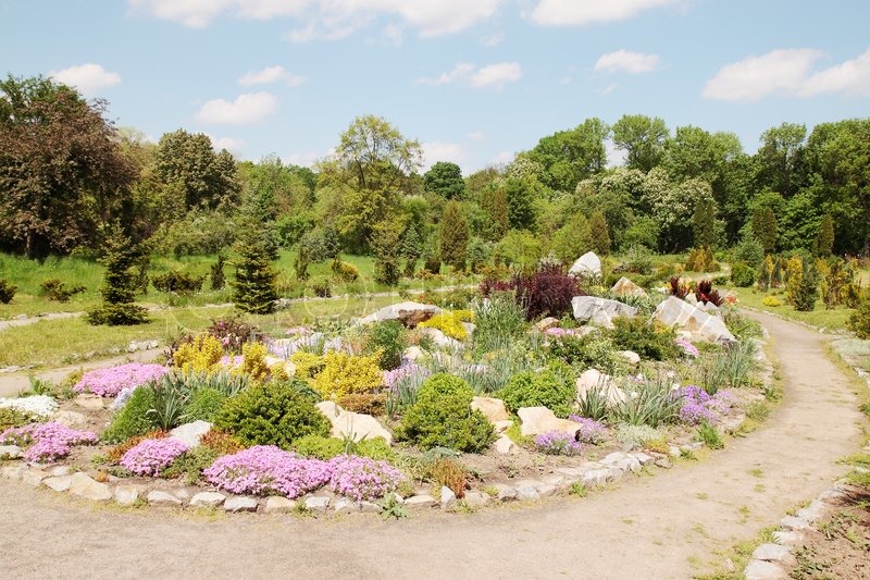 Landscaping, alpine garden with rocks ... | Stock image | Colourbox