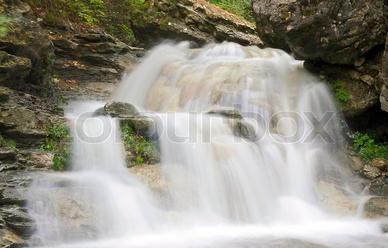 The beautiful running water in forest ... | Stock image | Colourbox