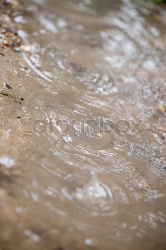 Drops of water dripping into a puddle | Stock image | Colourbox